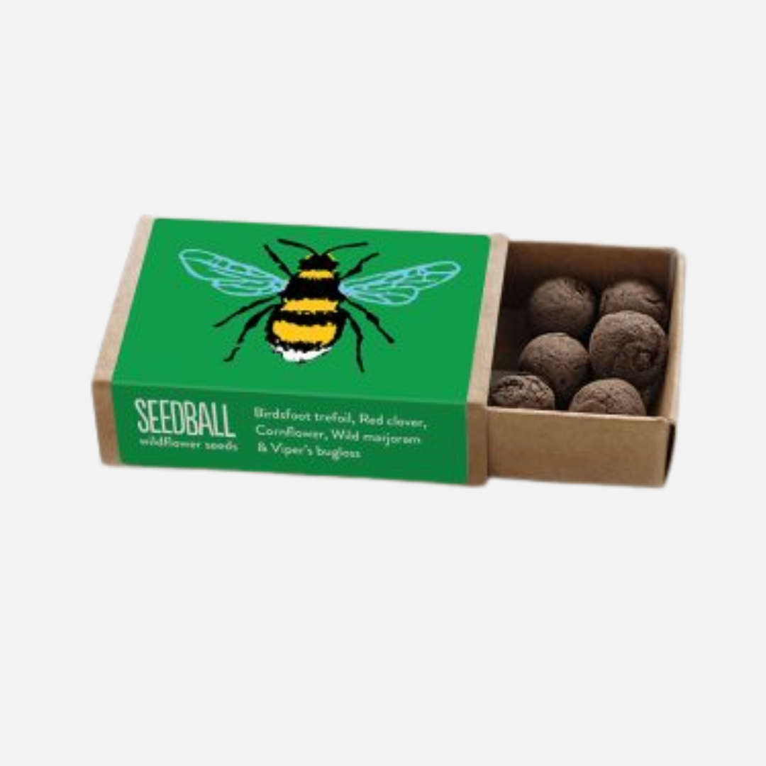 Seedball Wildflower Bee Boxes | Green – Kitty & Gus