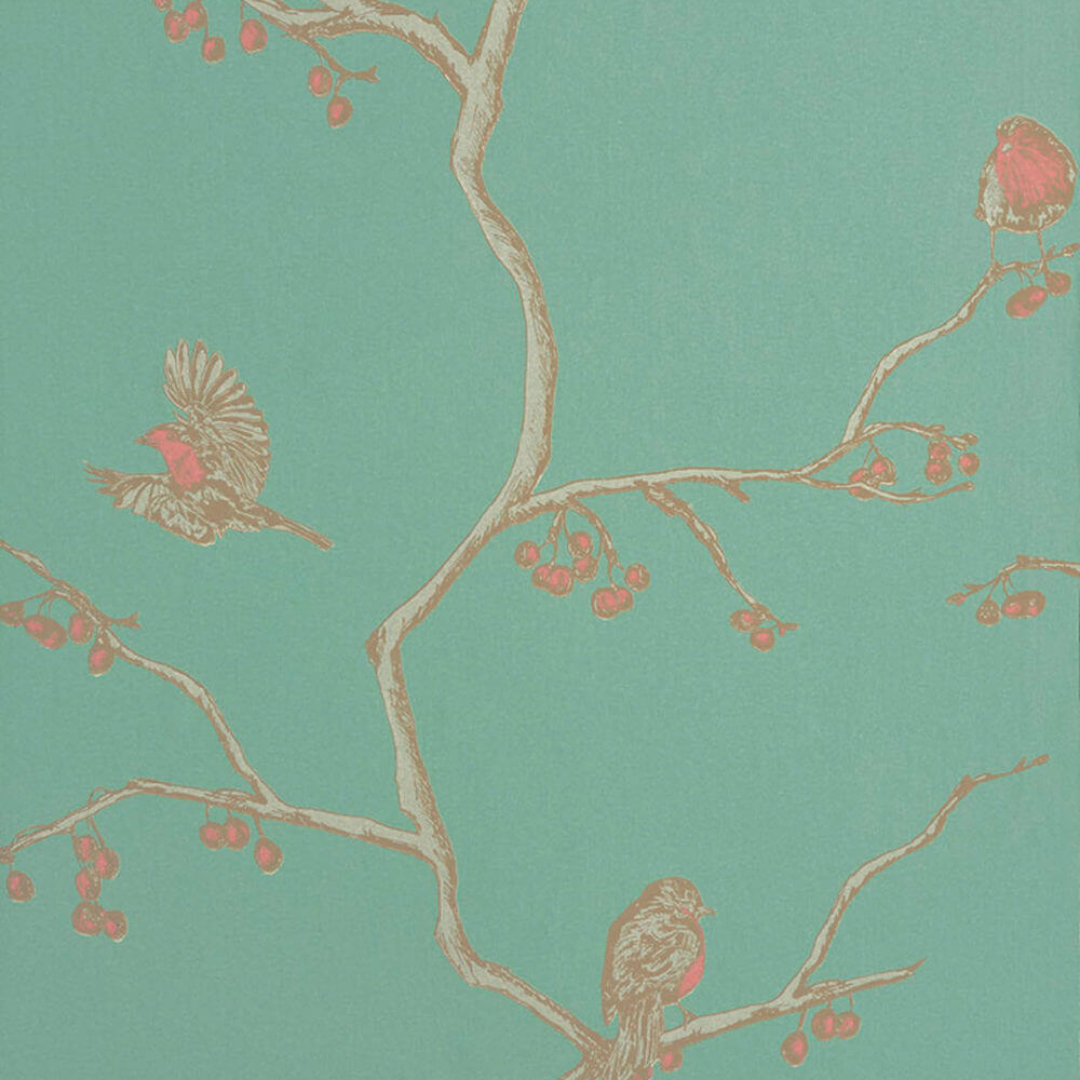 English Robin | Jade – Kitty & Gus